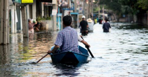 Clean up after flood: Process to follow