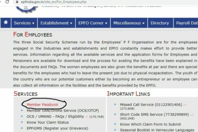 Epf Balance: A Step by Step Guide to Check Balance Online