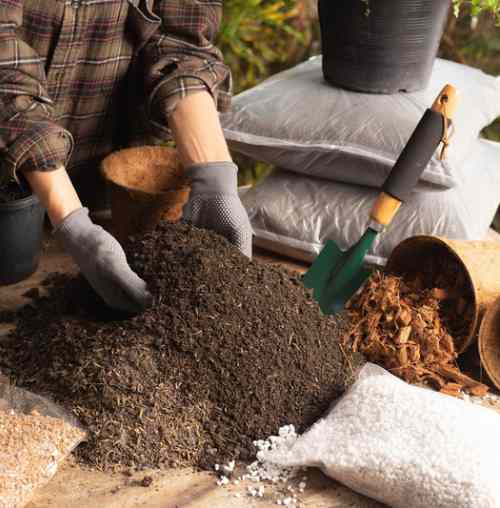 How to differentiate between potting mix and potting soil effectively